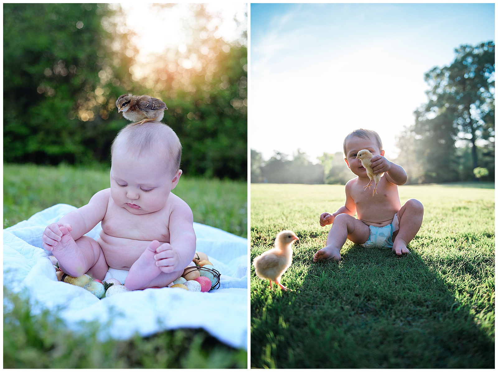 Heirloom Baby Chicks Session | Limited Edition – Kayla Brint ...