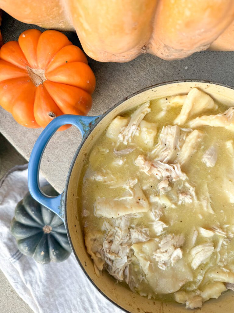 Best Homemade Chicken and Dumpling Recipe (Heather’s Grandma Ruby’s Recipe) - Kayla Brint